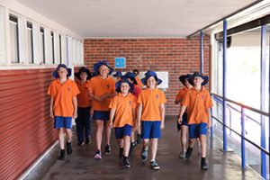 Gallery – Fairview Primary School